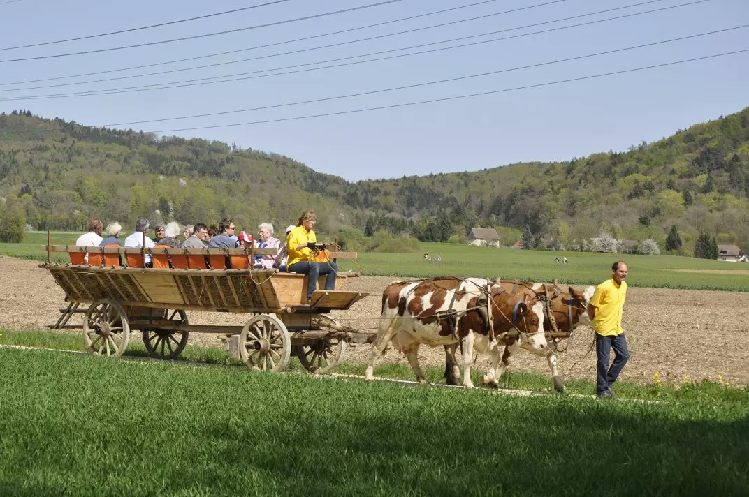 Rêd in hynder, ride in ko troch de Switserske Alpen 37545_4