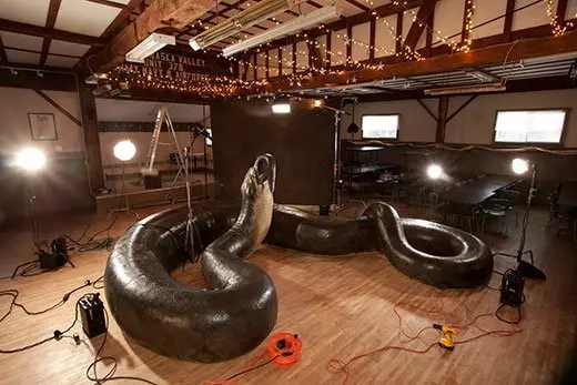 Titanoboa, 40 fut uzunlikdagi ilon qanday topilgan 37571_1