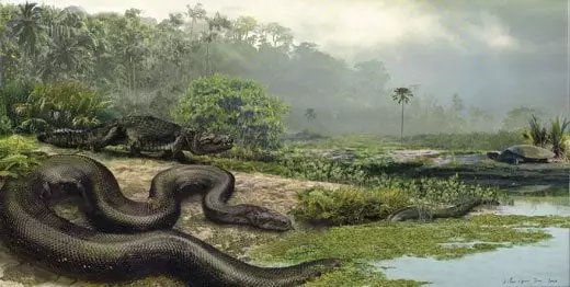 Titanoboa งูยาว 40 ฟุตถูกค้นพบได้อย่างไร 37571_2