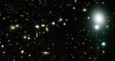 Għażla ta 'immaġni ġdida ta' galaxies imbiegħda fil-qasam COSMOS. Ikklikkja biex tara l-veduta kollha.