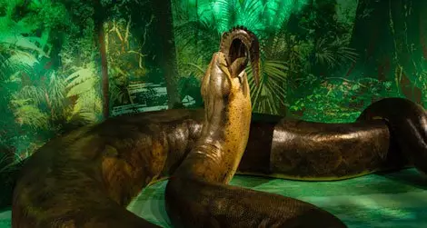 Model Titanoboa bude od zajtra k videniu v Prírodovednom múzeu.