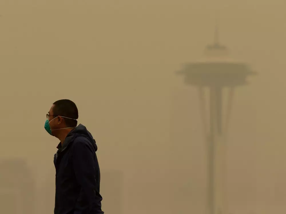 Загадување на воздухот од шумски пожари