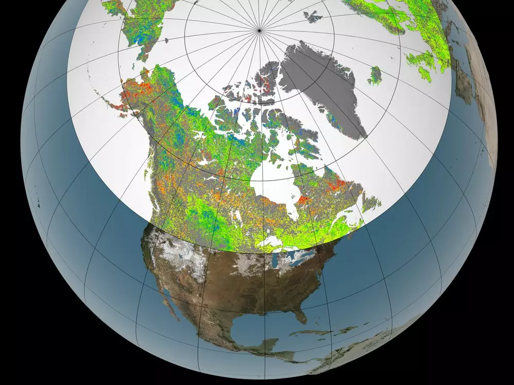 Потепление климата делает Арктику зеленой