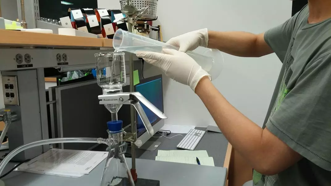 Filtering the estuary water back in the lab.