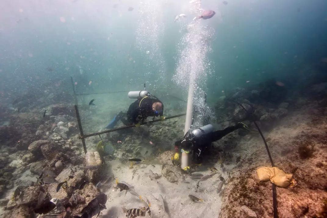 Trovato: naufragio portoghese di 500 anni fa dalla famosa flotta dell'esploratore 38169_4