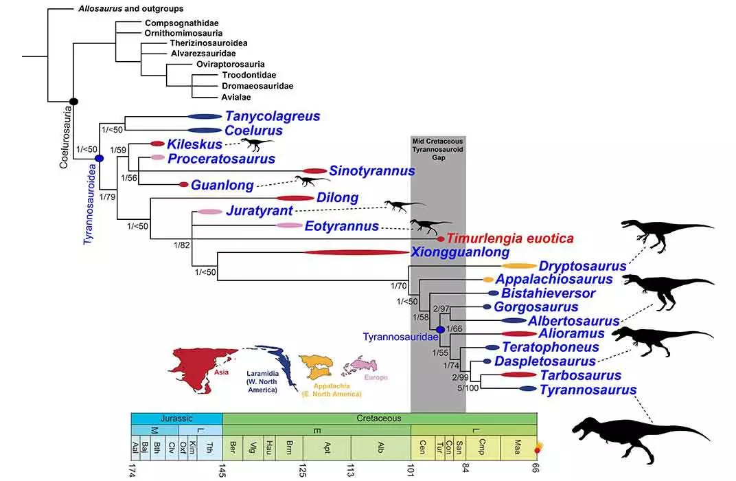 การค้นพบ Tyrannosaur ตัวจิ๋วช่วยเพิ่มความเข้าใจใหม่เกี่ยวกับต้นกำเนิดของ T. Rex 38237_3