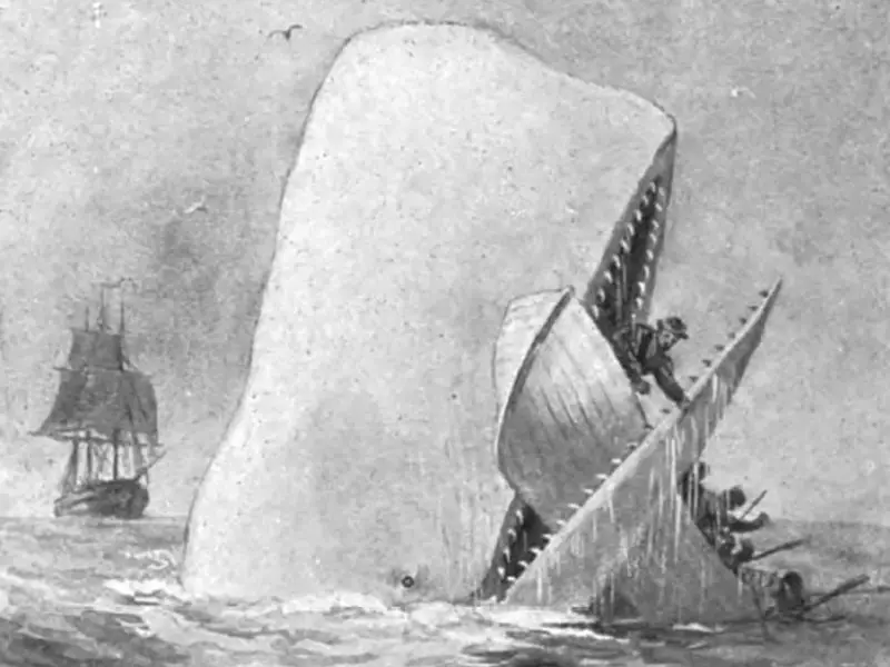 Moby Dick angriper hvalfangstskipet