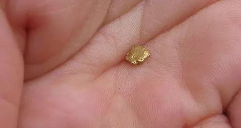 Drømmen om en guldgraver - en guldklump så stor, at den kan håndteres som en lille marmor.