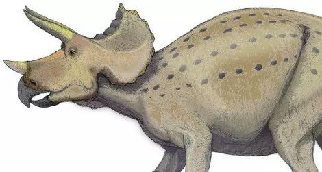 Triceratopsin mahdolliset asennot