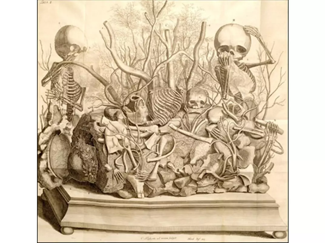 Kining 17th-Century Anatomist Naghimo sa Art Out sa Lawas 38702_3