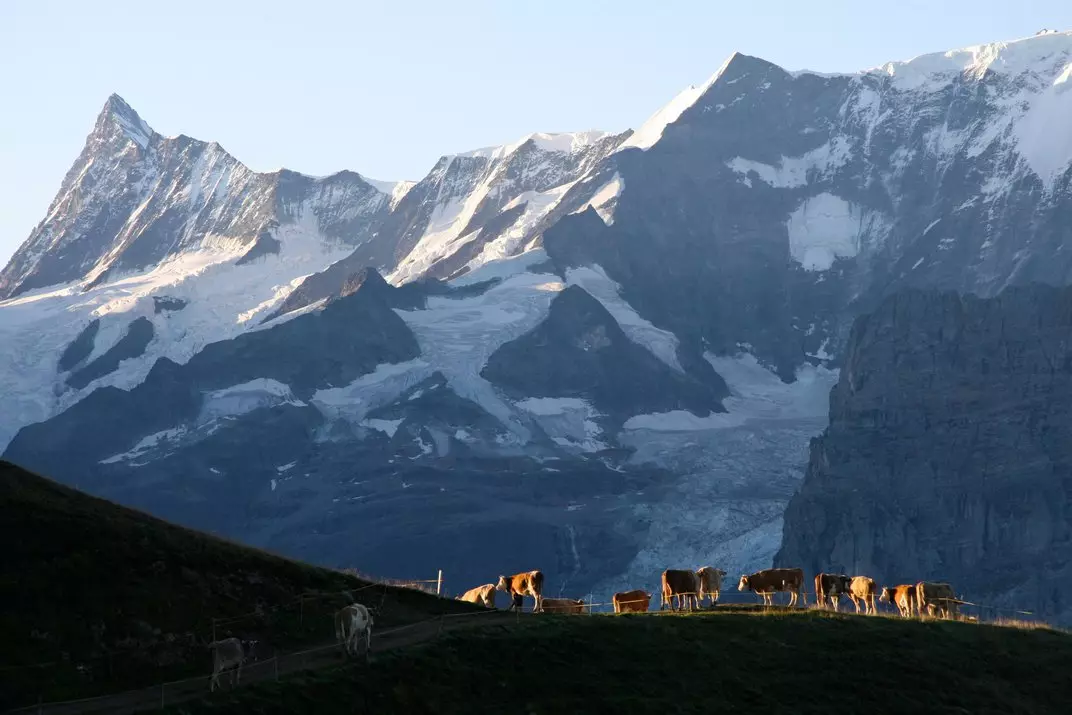 Live Like a Swiss Alpine Cheesemaker for a Weekend 38759_10