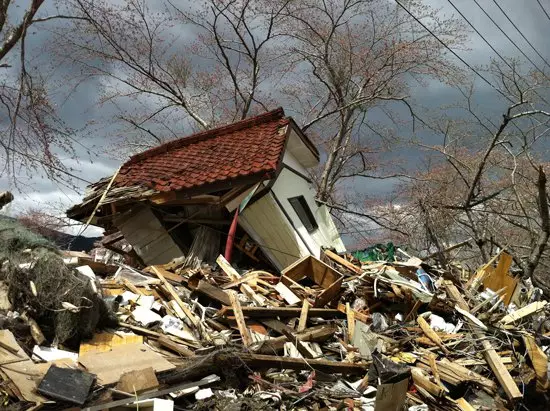 Fukušimas prefektūra no cunami un ķiršu zieda