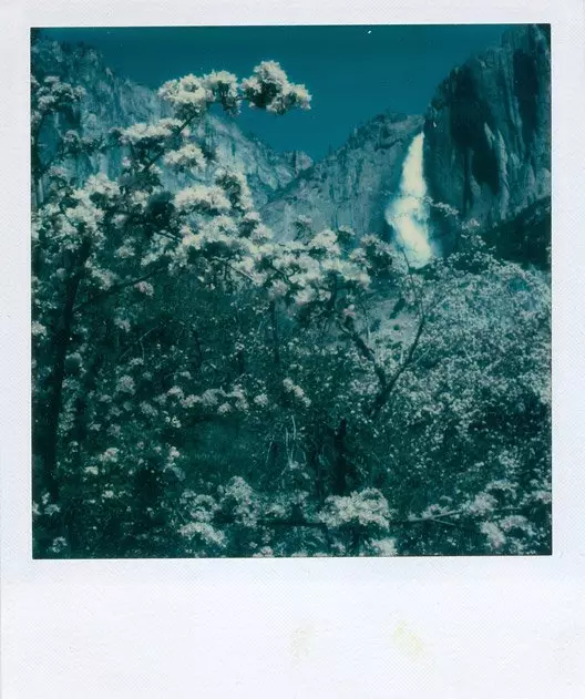 آبشار یوسمیتی