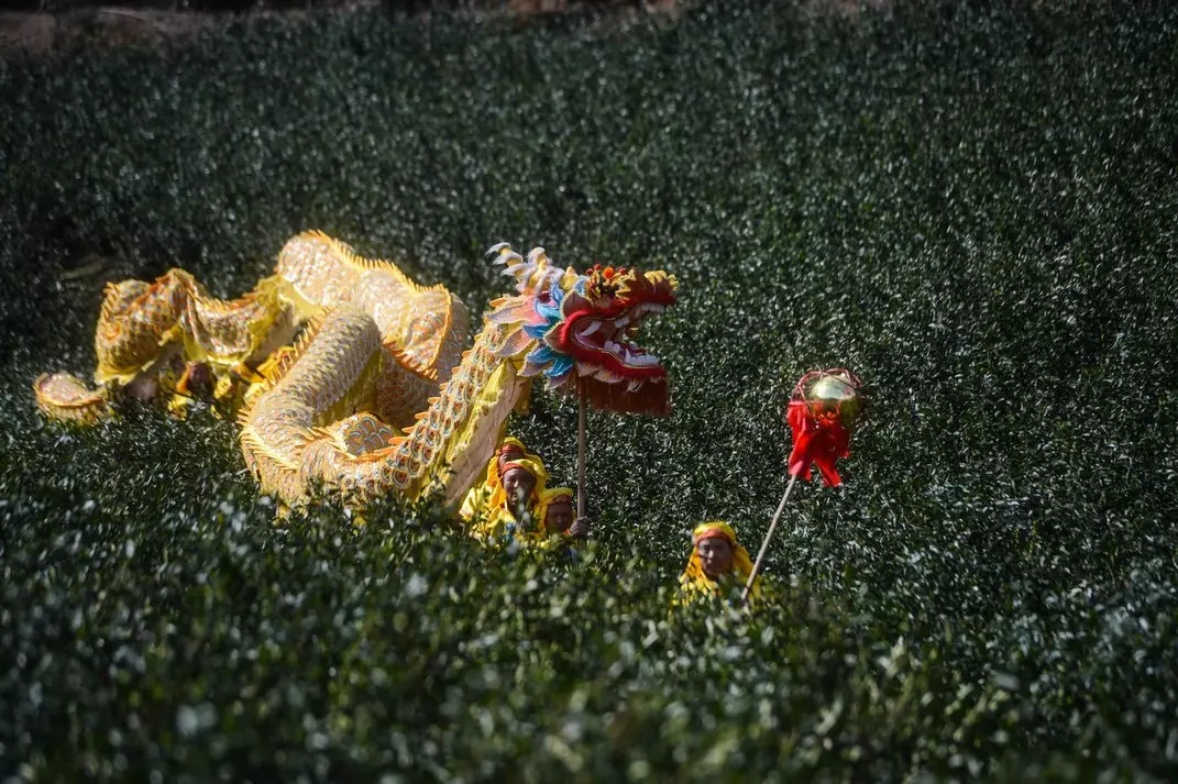 This Stunning Dragon Dance Was All for the Sake of Tea 39068_2