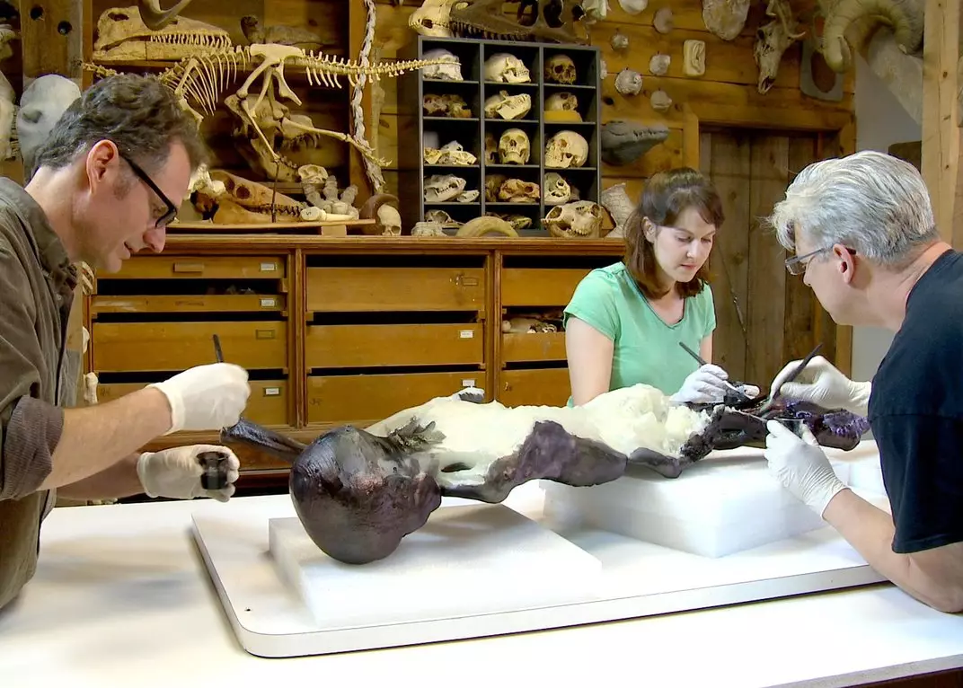 Mākslinieks izveido detalizētu 5300 gadus vecā Ledusvīra Ötzi kopiju 39152_2