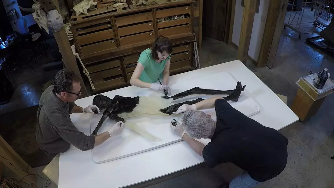 Mākslinieks izveido detalizētu 5300 gadus vecā Ledusvīra Ötzi kopiju 39152_6
