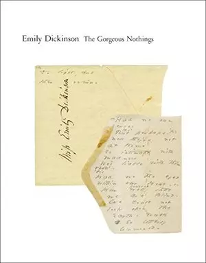 'Muhteşem Şeyler: Emily Dickinson'ın Zarf Şiirleri' videosu için küçük resim önizleme