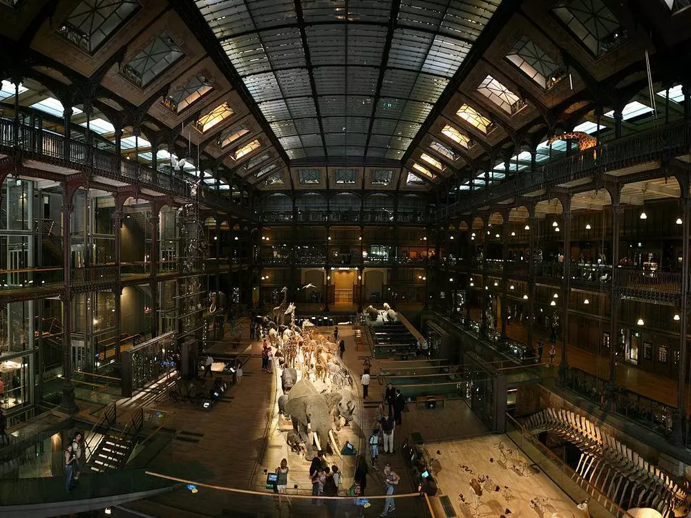 Gran Galería de la Evolución en el Museo Nacional de Historia Natural de París, Francia
