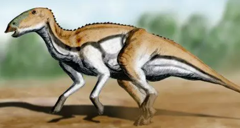 Nobu Tamura မှ hadrosauroid Tethyshadros ကျွန်းကို ပြန်လည်ထူထောင်ခြင်း။