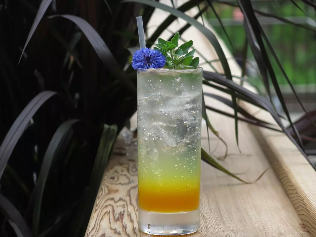 Löwenzahn-Salbei-Cocktail