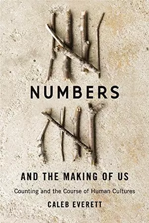 Преглед на миниатюра за числата и създаването на нас: броенето и хода на човешките култури