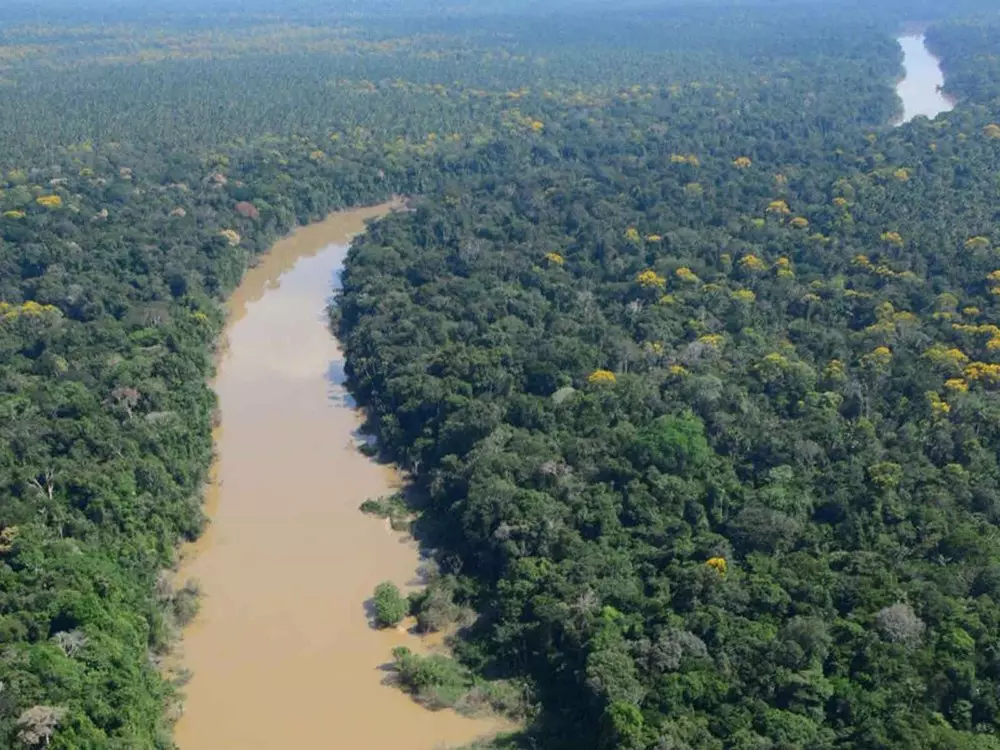Yn in ôfstân Amazon-regio lit stúdzje sjen dat ynheemse folken boskbehâld hawwe oefene foar Millennia