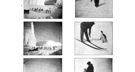 "Mahojiano ya Penguin," kupitia Frederick Cook's Kupitia usiku wa kwanza wa Antarctic, 1896-1899.