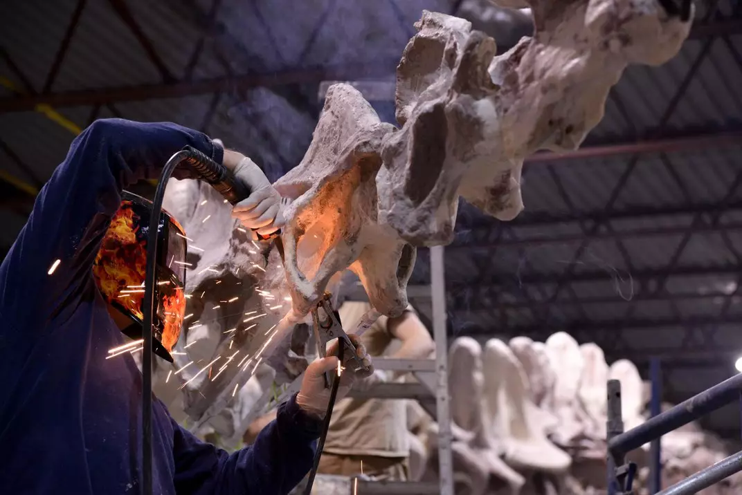 Ja si e shtrydhni dinosaurin më të madh në një muze të qytetit të Nju Jorkut 39907_2