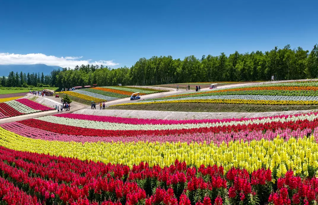 12 luoghi affascinanti per guardare i fiori sbocciare 39913_10