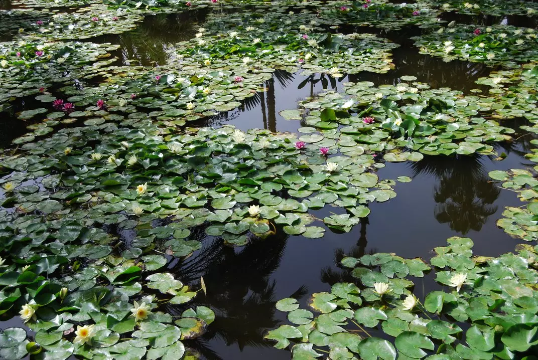 12 luoghi affascinanti per guardare i fiori sbocciare 39913_14