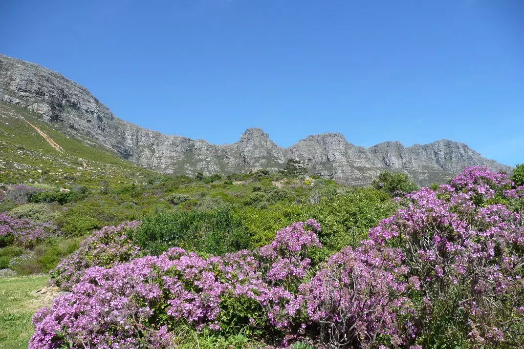 12 luoghi affascinanti per guardare i fiori sbocciare 39913_18