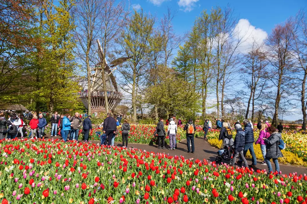 12 luoghi affascinanti per guardare i fiori sbocciare 39913_30