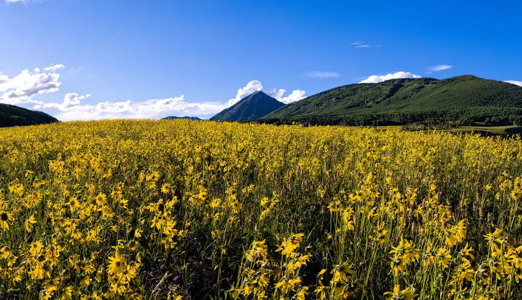 12 lugares fascinantes para ver florecer las flores 39913_45