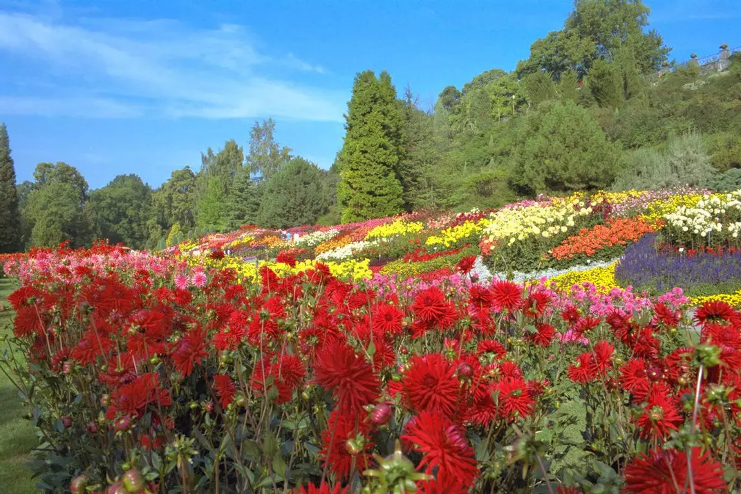 12 luoghi affascinanti per guardare i fiori sbocciare 39913_56