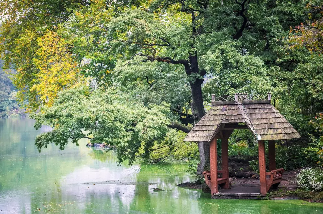 Un foișor din lemn pe lacul din Central Park