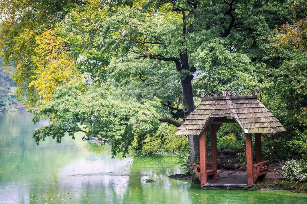 Gazebo hazo eo amin'ny farihy ao amin'ny Central Park