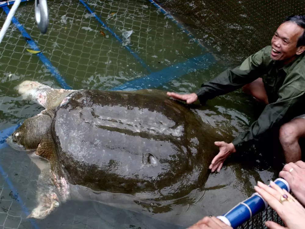 Namatay ang Minamahal na Giant Turtle, Tatlo Lang ang Naiwan sa Lupa