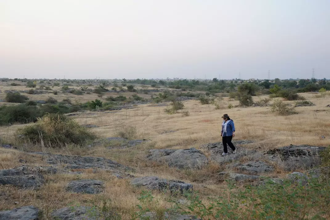 Buail le Banphrionsa Dineasár na hIndia 40149_5