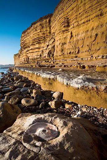 Évolusi Dunya Tour: Basisir Jurassic, Inggris 40220_2