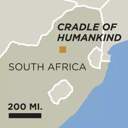 Evolution World Tour: The Cradle of Humankind, Afrika Kusini 40233_1
