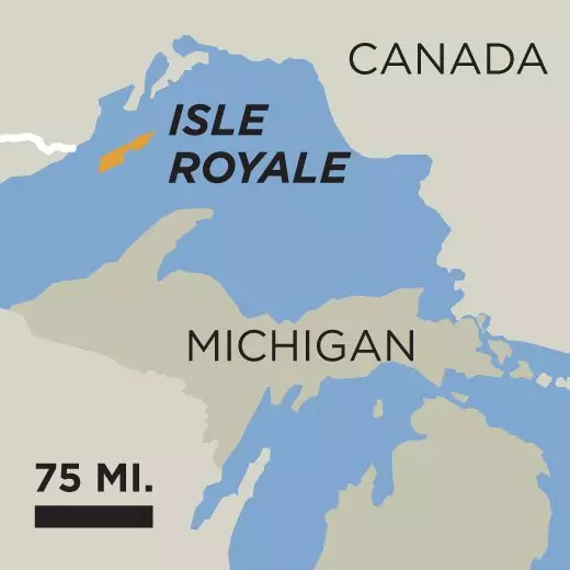 Сафари ҷаҳонии эволютсия: Isle Royale, Мичиган 40242_1