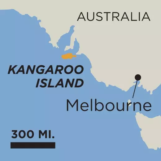 Evolution World Tour: Kangaroo Island, l-Awstralja 40248_5