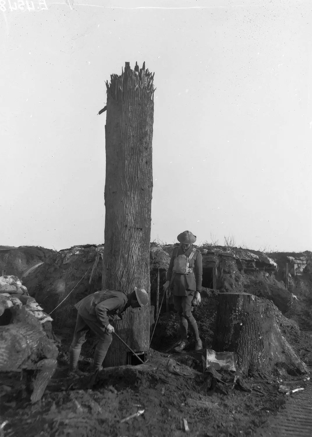 Falešné špionážní stromy používané v první světové válce