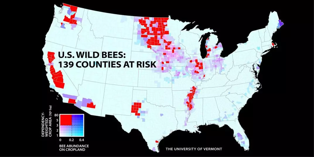 New Map Highlights Bee Population Declines Across the U.S. 40325_2