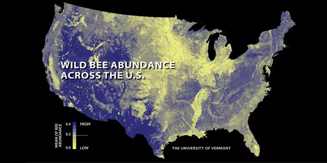 Nová mapa poukazuje na pokles populácie včiel v USA 40325_3