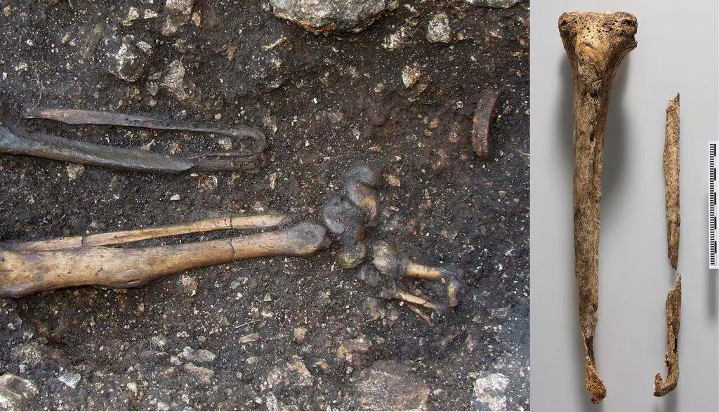 Avstriyada 1500 yillik protez oyoq topildi