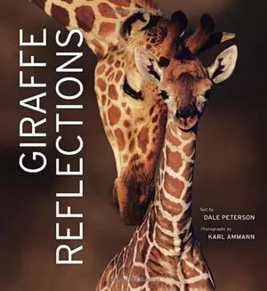 سىننىڭ «Giraffe Reflections» نىڭ كىچىك كۆرۈنۈشنى ئالدىن كۆرۈش