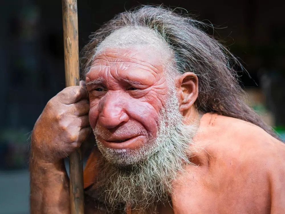 neandertalac