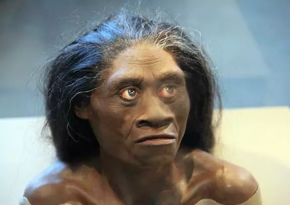 Smithsonian Historia Naturalaren Museoko H. floresiensis emakumezkoen aisialdia.