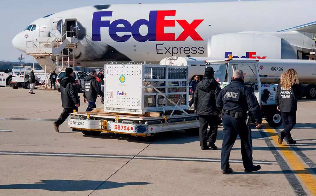 Hogyan FedEx egy óriáspandát 40606_11